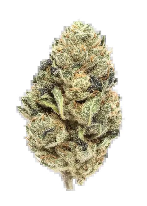 Tahoe Og Cannabis Strain Information Growdiaries