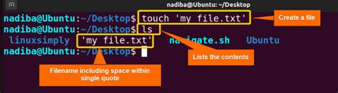understanding single quotes in bash [2 examples with cases]