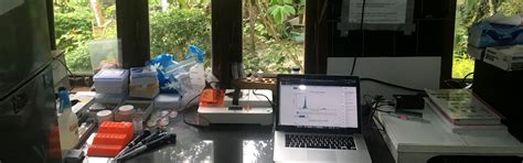 Protecting Great Apes With Portable Genomics Bento Lab