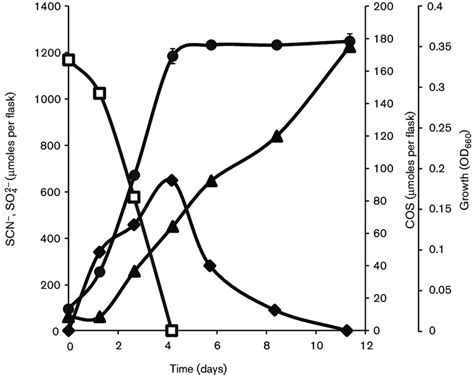 Thiocyanate Degradation And Production Of Cos And Sulfate By Strain