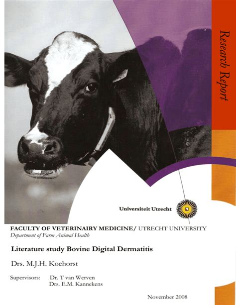 What Is Bovine Digital Dermatitis