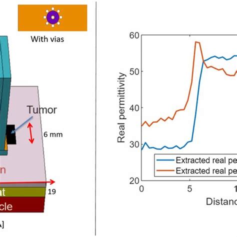 Simulation Results For The Probe On A Multilayered Biological Tissue Download Scientific