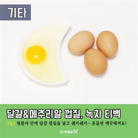 일반쓰레기 Vs 음식물쓰레기 이것만 알면 고민 끝