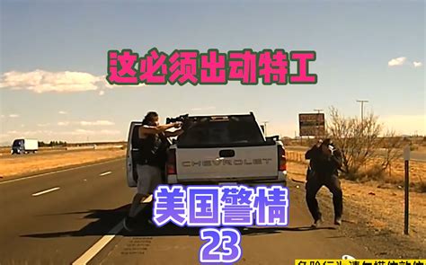 美国警察单独出警执勤，拦停一辆汽车后，出动了特工 警情时刻 警情时刻 哔哩哔哩视频