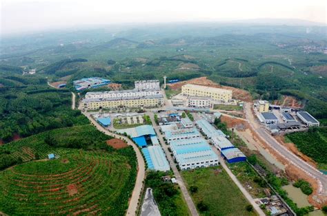 广西金秀通过粤桂合作做大做好瑶医药文章医药医改频道东方养生