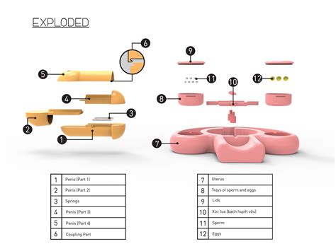 SEXUAL HEALTH EDUCATION TOOL On Behance