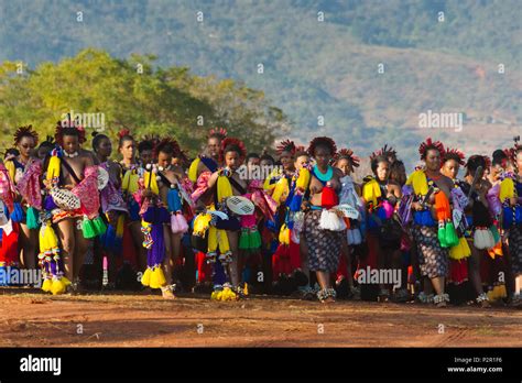 Swazi Girls Parade At Umhlanga Reed Dance Festival Swaziland Stock