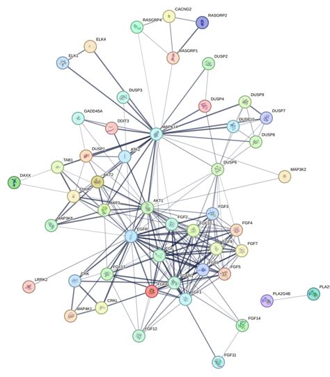 Pathcards Mapk Signaling Pathway Pathway And Related Pathways