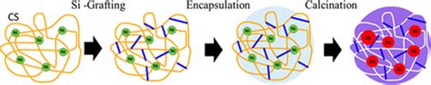 representation of the material synthesis protocol for encapsulated ni