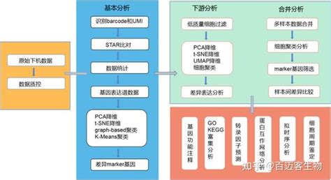 一文速学单细胞转录组数据分析详解 知乎