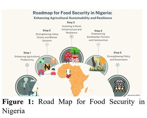 President Tinubus Declaration Of State Of Emergency On Food Security