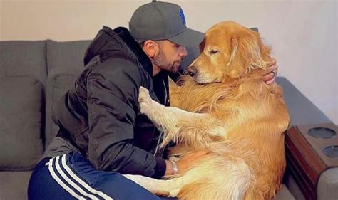 Caso Joca Câmara Aprova Pl Que Obriga Aéreas A Rastrear Transporte De Pets