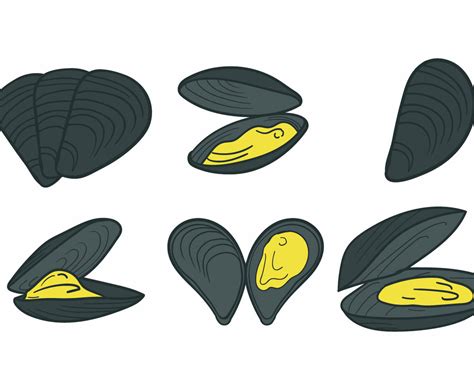 Mussel Vector Vector Art And Graphics