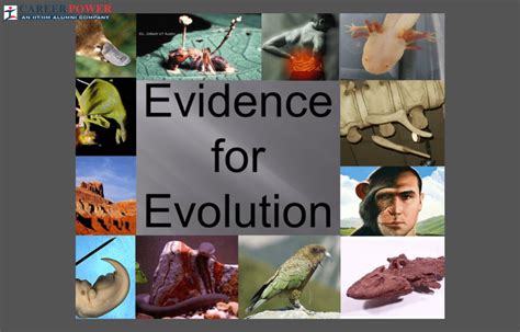 Evidence Of Evolution All Types Of Evidence In Favour Of Evolution