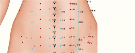 气海准确位置图图 作用 关元 第12页 大山谷图库