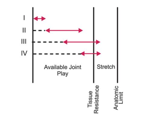 Joint Mobilization Unit 4 Flashcards Quizlet
