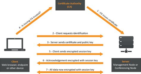 How Does Your Browser Knows That The Tls Certificate Presented By The