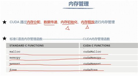 Cuda编程基础入门系列（持续更新） 哔哩哔哩