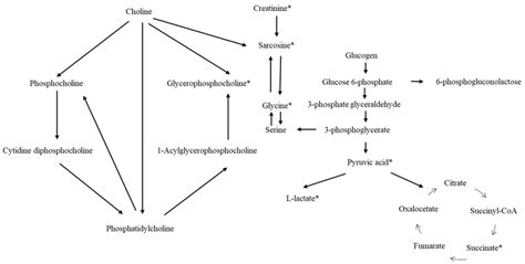 Metabolic Network Of Significantly Altered Metabolites Significantly