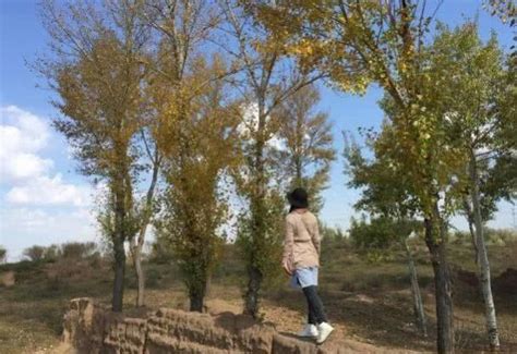 中國第的一個沙漠即將消失，如今80沙漠成綠洲，馬鈴薯畝產5噸 每日頭條