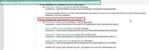 Devops Series Deployment Of Oracle Database 19c Client 193 For