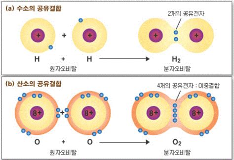 주기율표 공유결합 이온결합 전해질을 배우기전 기초쌓기 네이버 블로그