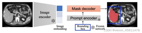 segment anything in medical images翻译 csdn博客