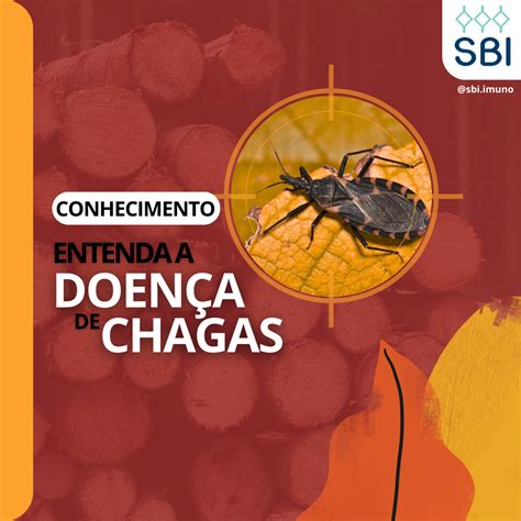 Entenda Mais Sobre A Doença De Chagas Sociedade Brasileira De Imunologia