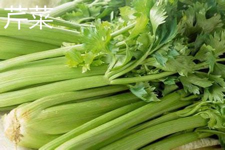 水芹菜和芹菜的区别 养花大全