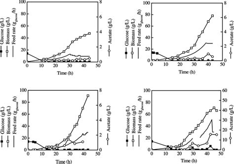Induced Fed Batch Cultivation Of Recombinant E Coli With Different Download Scientific Diagram