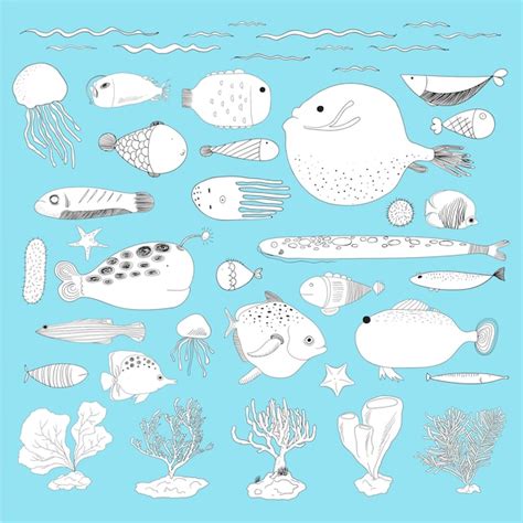 수중 생물의 벡터 무료 벡터