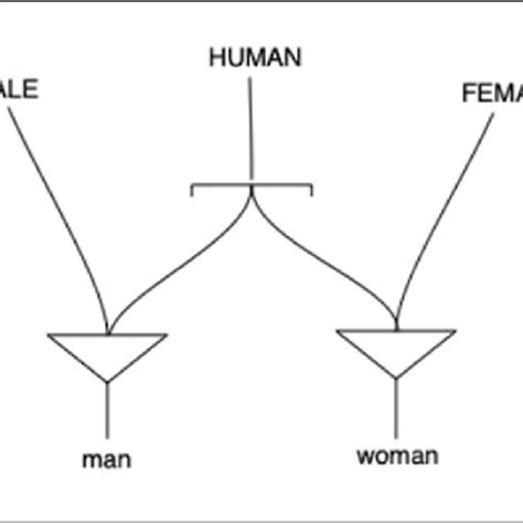 Lexical Selection Depending On Contextual Information Download Scientific Diagram