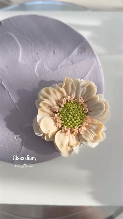 앙금플라워 버터플라워 교육 전문 피아니스트케이크 Art Dessert Creator Pcaa 앙금플라워 창업클래스 중에 🤗 포토존 가기전 더 자연스러운건