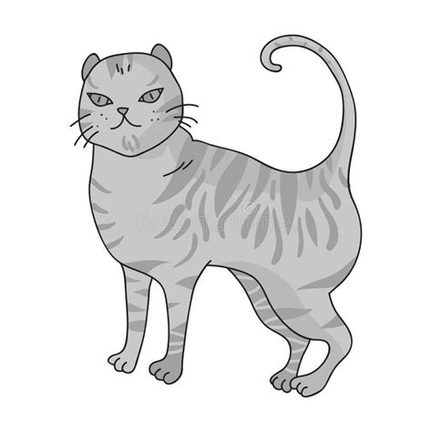 在白色背景在单色样式的英国shorthair象隔绝的 猫助长标志储蓄传染媒介例证 向量例证 插画 包括有 单色 国内 88007289