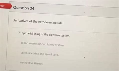 Solved Rect Question 34 Derivatives Of The Ectoderm Include