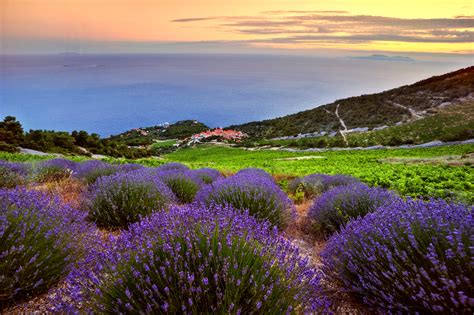 Inselschönheit Hvar in Kroatien Urlaubsguru de
