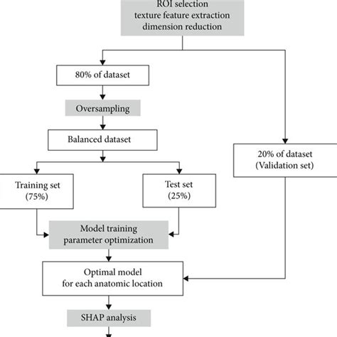 The Texture Analysis Based Model Of The Classification Between Sae And