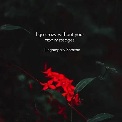 I Go Crazy Without Your Quotes And Writings By Lingampally Shravan