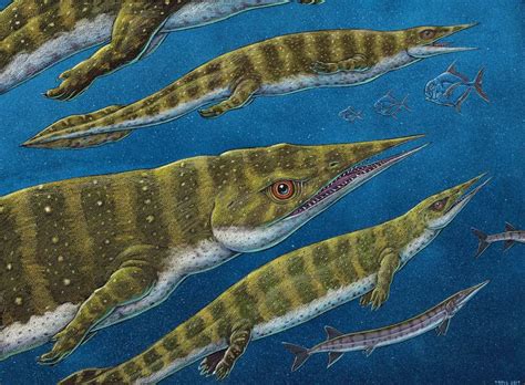 Gunakadeit Joseeae Alaskan Paleontology Wiki Fandom