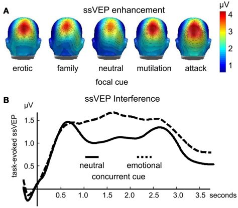 The Amplitude Of The Time Varying Steady State Visual Evoked Potential Download Scientific