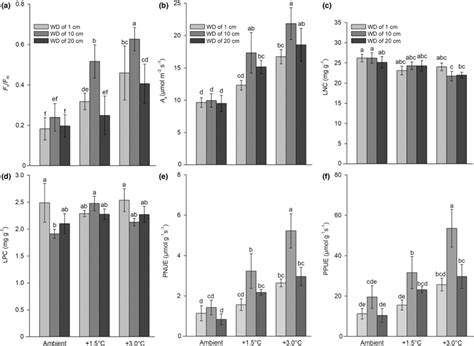 Plant Photosynthetic Traits A The Maximum Quantum Yield Of