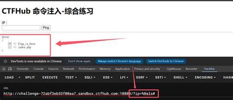 ctfhub技能树 web rce 命令注入 ctfhub技能树命令注入 csdn博客