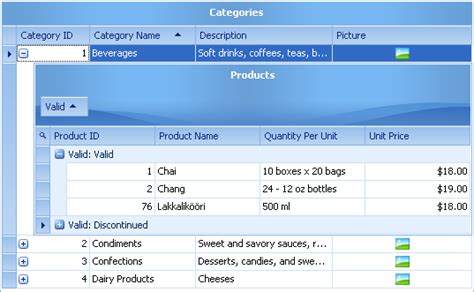 ColumnViewOptionsView ShowViewCaption Property WinForms Controls DevExpress Documentation
