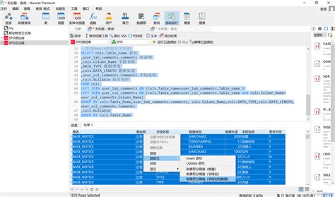 navicat导出oracle数据库表结构（excel） navicat导出oracle表结构 csdn博客