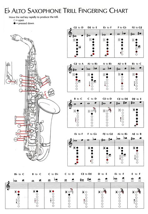 Tabla De Dedos De Escala Cromática De Saxofón Alto