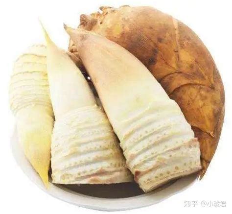 吃过春笋才知春之味 知乎