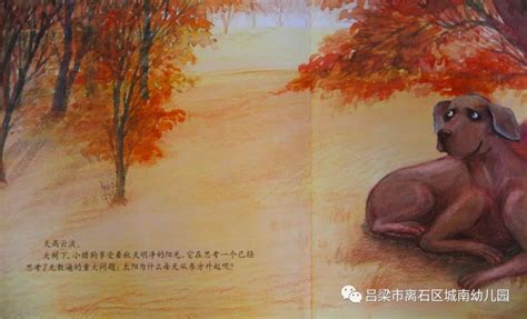 城南Radio 绘本故事罗圈腿的小猎狗 搜狐大视野 搜狐新闻