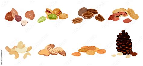 Clip Art Healthy Snacks