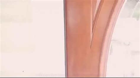 Sex Education Andspanish Suband Xxx Mobile Porno Videos And Movies