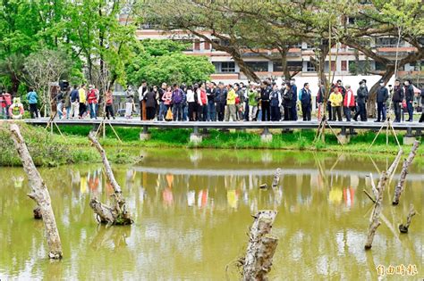 舊軍營變身 永春陂濕地公園開幕 生活 自由時報電子報
